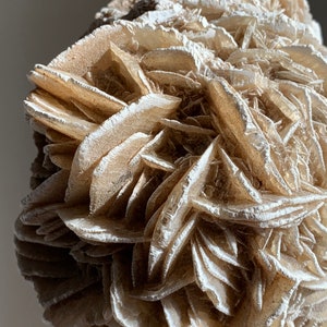 Large Desert Rose Selenite Cluster on Stand Rock Rose Sand Rose Crystal ...