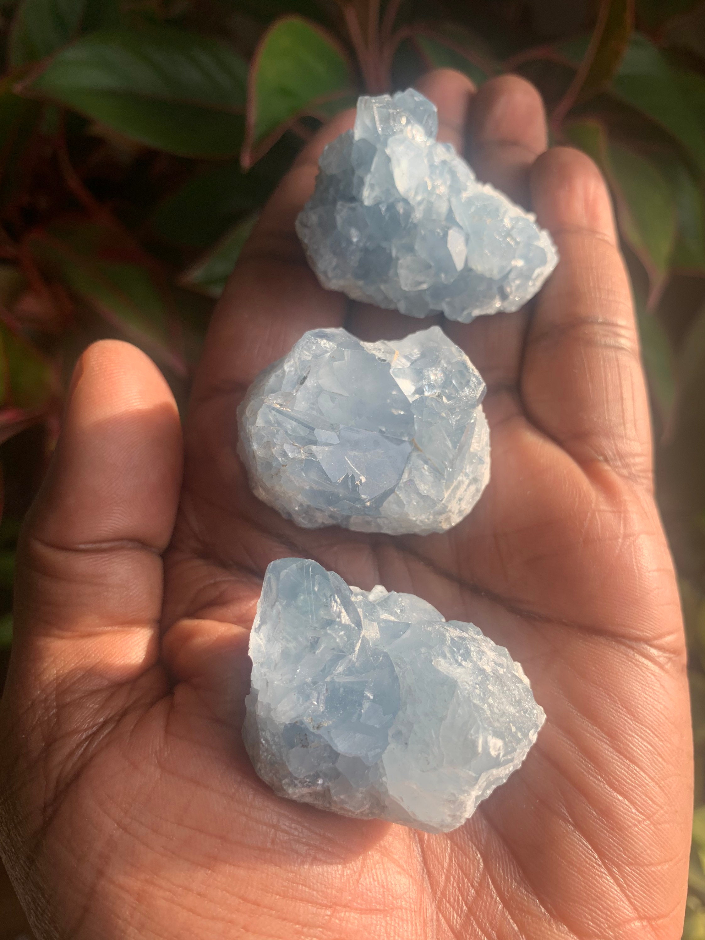 Celestite Geode Pieces | Blue Quartz | Celestite Cluster | Raw ...