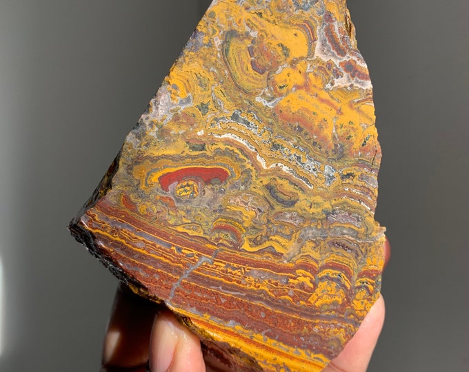 Apple Valley Stromatolite Rough Stone | Fossil Stromatolite | Lapidary ...