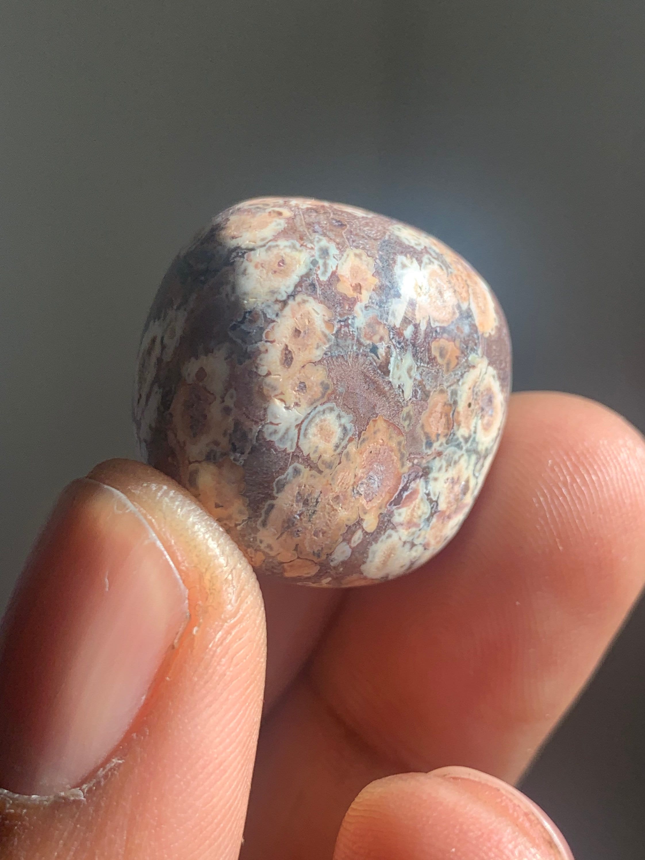 Pink Leopard Skin Jasper Quartz Crystal Tumble Stone Jaguar | Etsy