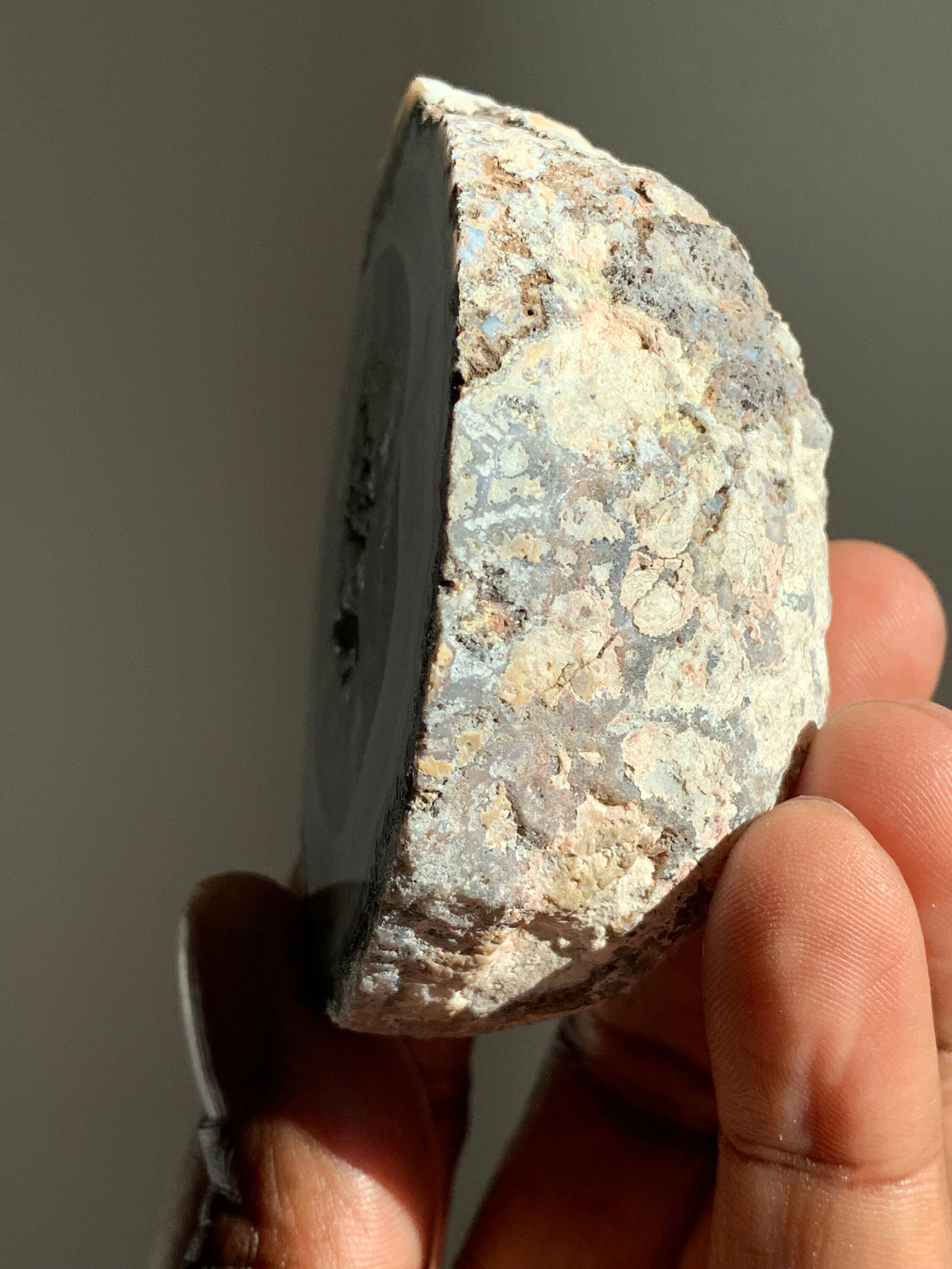 Las Choyas Geodes Polished Half Slice | Coconut Geodes | Trancas Geodes ...