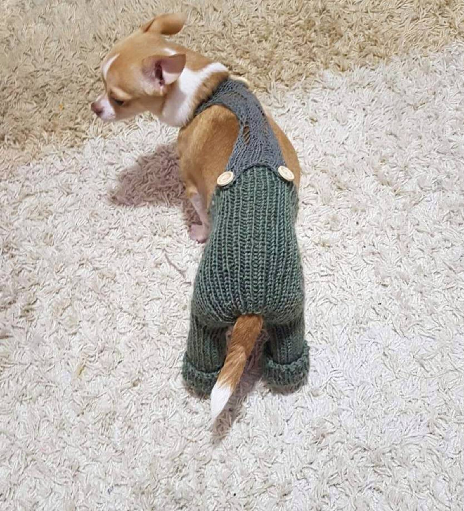 Dog pants Knit clothing for small dog Warm knitted dog | Etsy