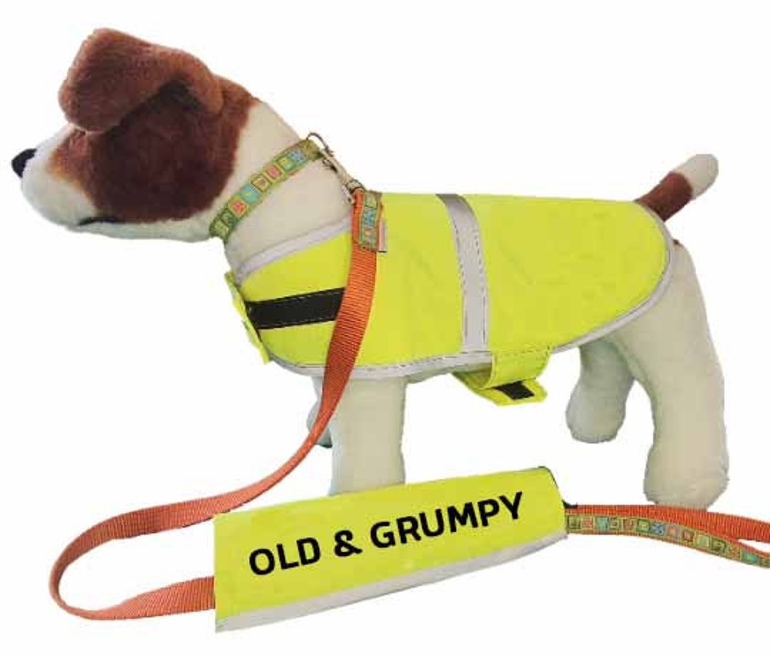 Grumpy Dog