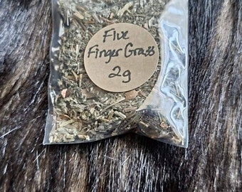 Five Finger Grass | Etsy