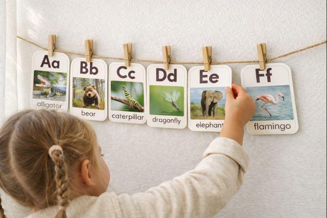 Nature ABC Cards: Real Images for Montessori Homeschool - Etsy