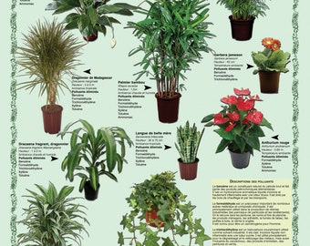 Formaldehyde Poster - Etsy