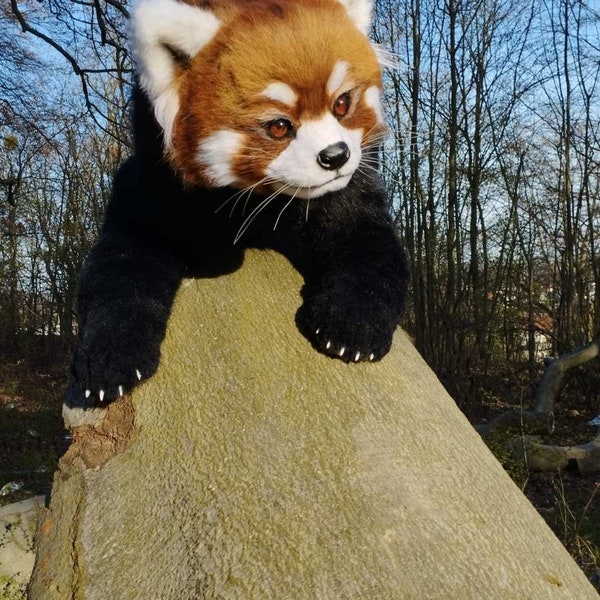 Red Panda Plush - Etsy