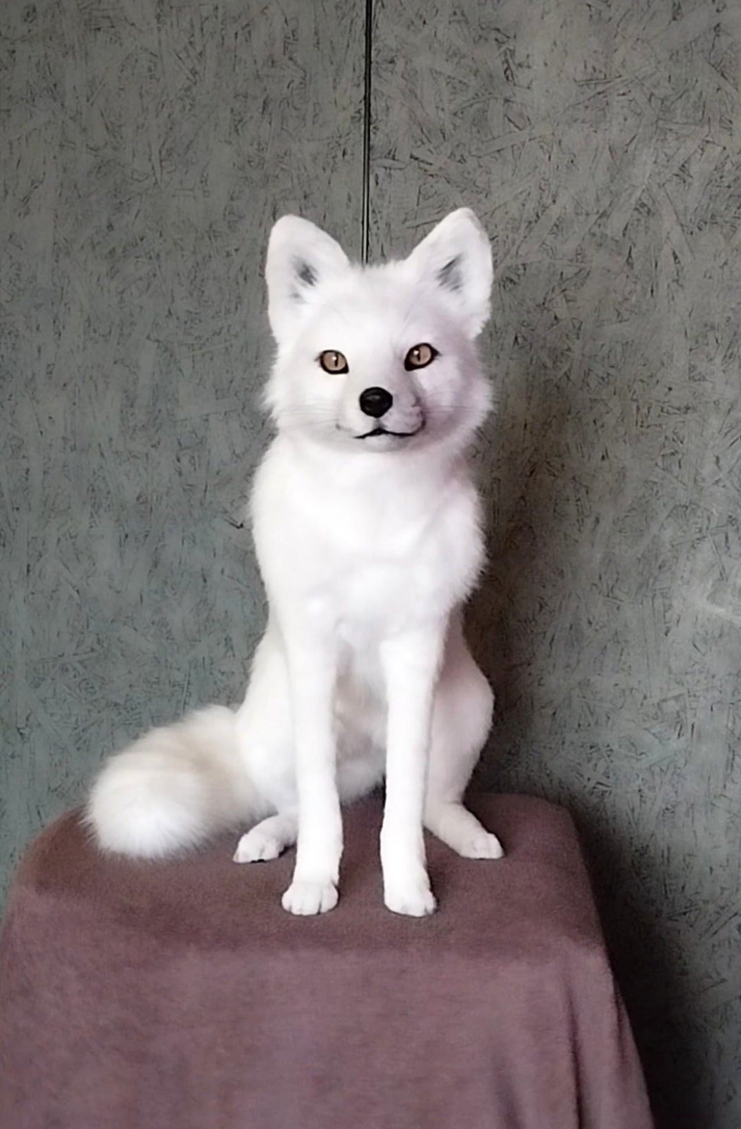 Stuffed Fox Toy. Fox Stuffed Animal. Poseable Art Doll. Realistic Plush. Fox Plush Etsy UK