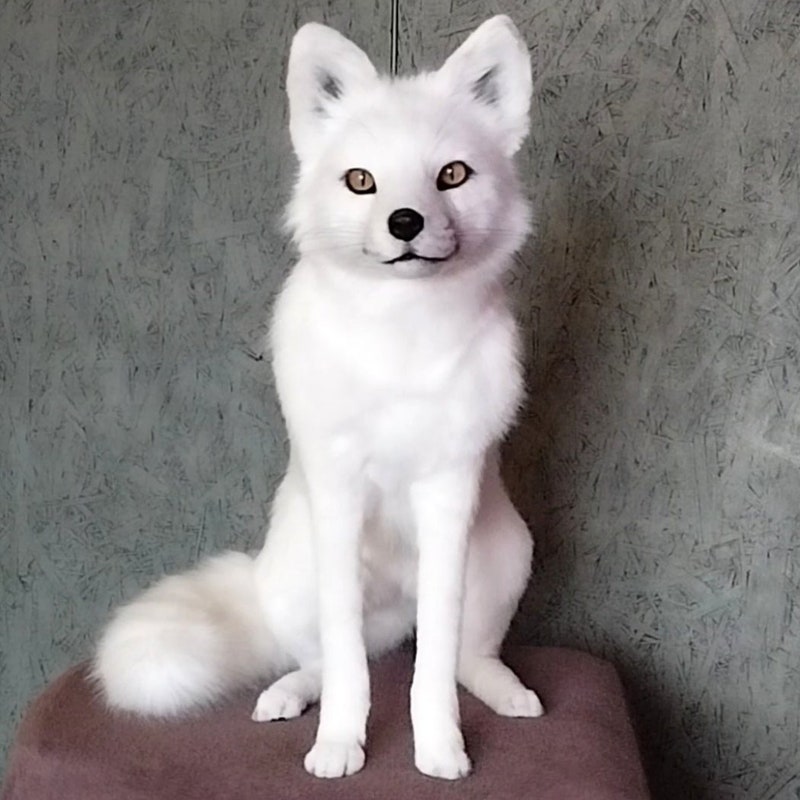 Realistic Fox Plush - Etsy