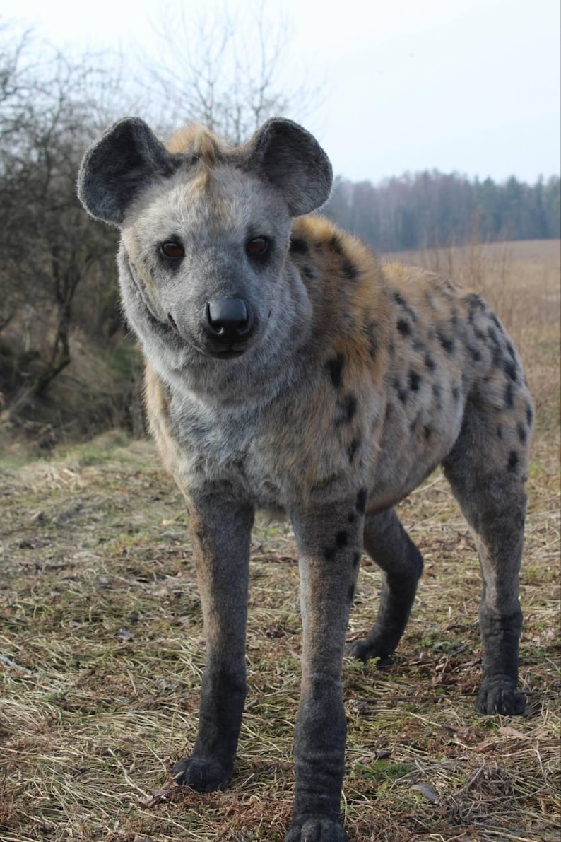 Hyena Realistic Spotted Hyena Plush – Handmade Poseable Art Doll ...
