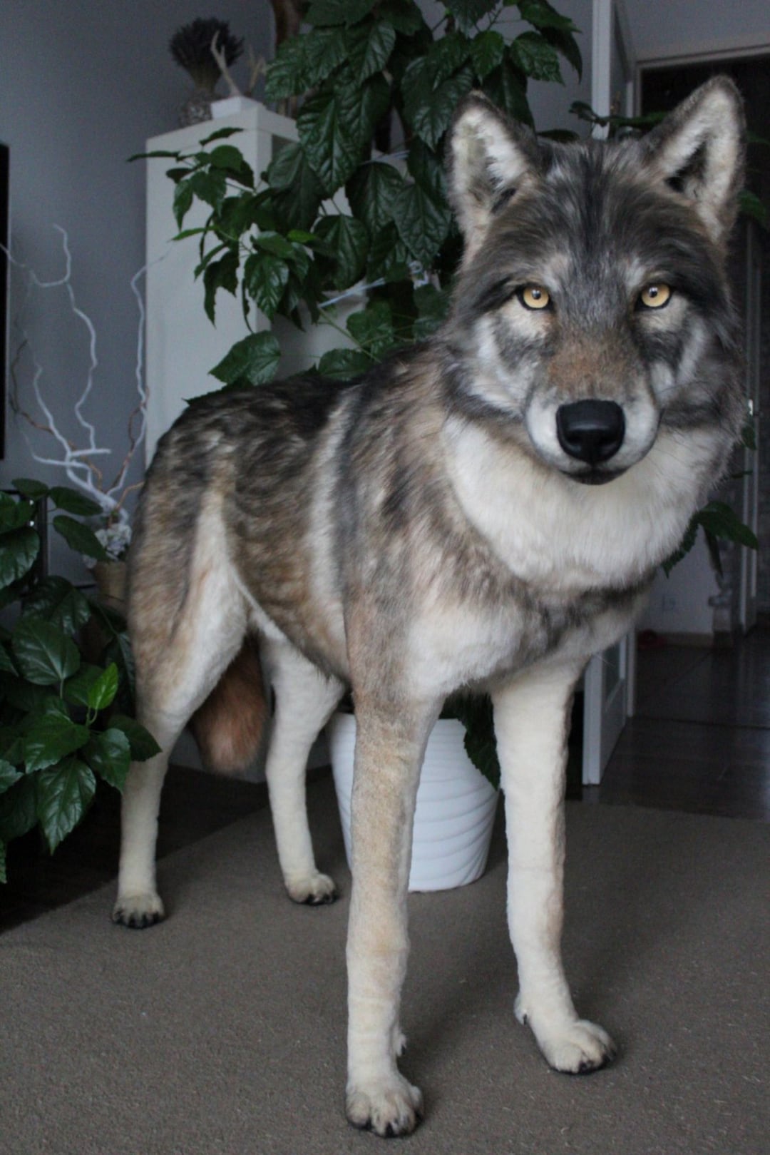 Realistic Wolf Plush, Lifelike Wolf Toy, Stuffed Wolf, Wolf Plushie ...