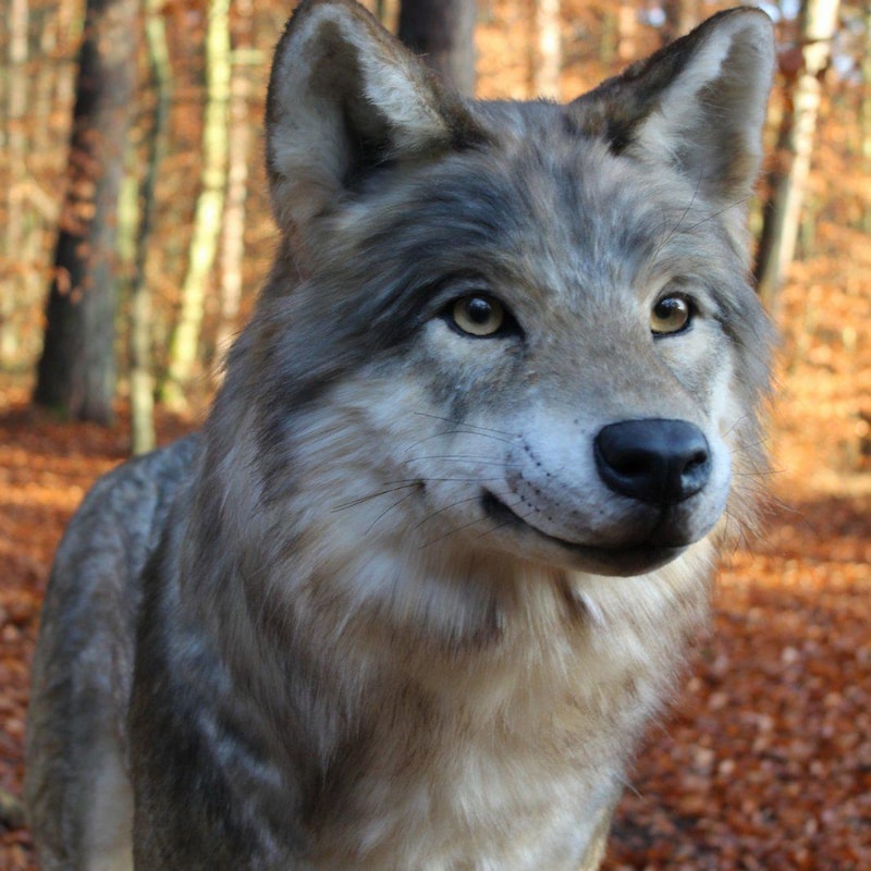 Stuffed Wolf - Etsy