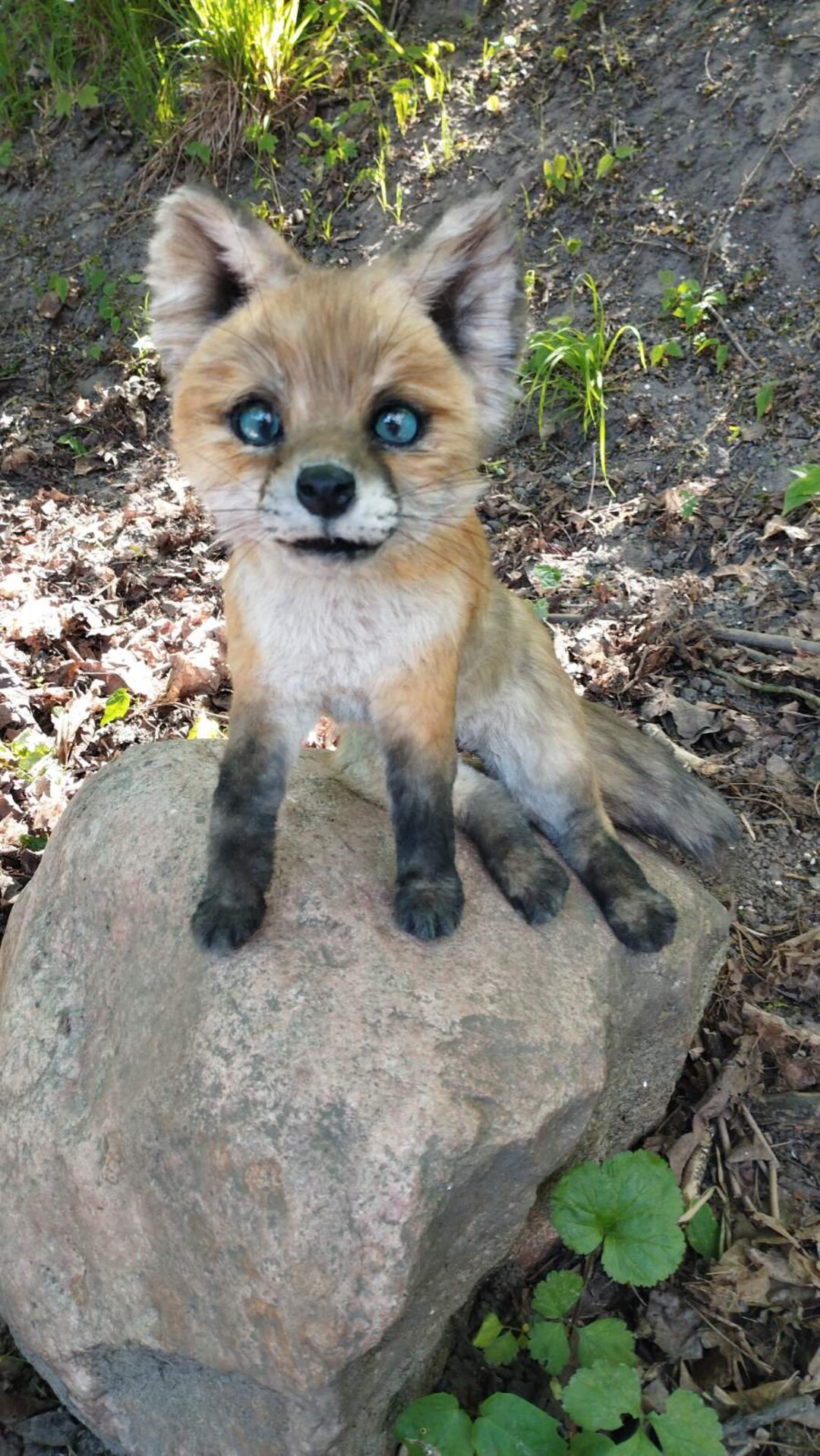 Realistic Plush Toyfox Cubrealistic Animals Movable Animals - Etsy Australia