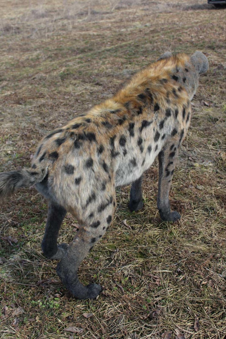 Hyena Realistic Spotted Hyena Plush – Handmade Poseable Art Doll ...