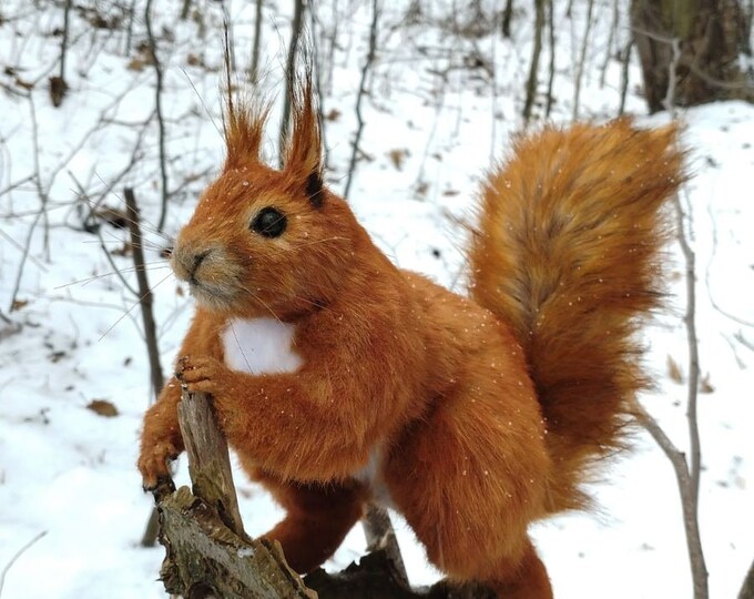 Needle Felted Grey Baby Squirrel MADE TO ORDER Felt Realistic Forest ...