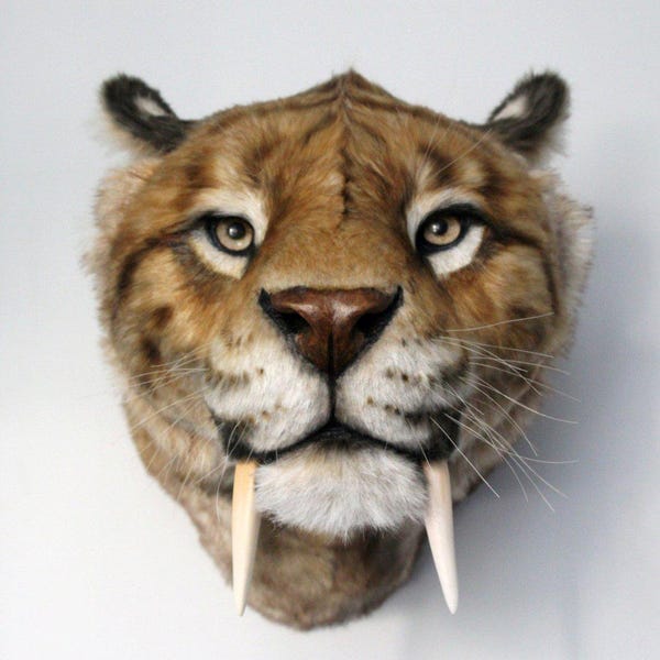 Faux Animal Heads - Etsy