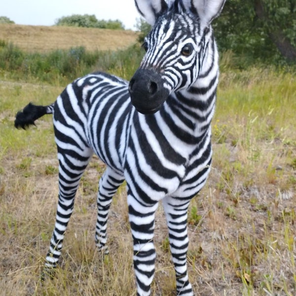 Zebra Plush - Etsy