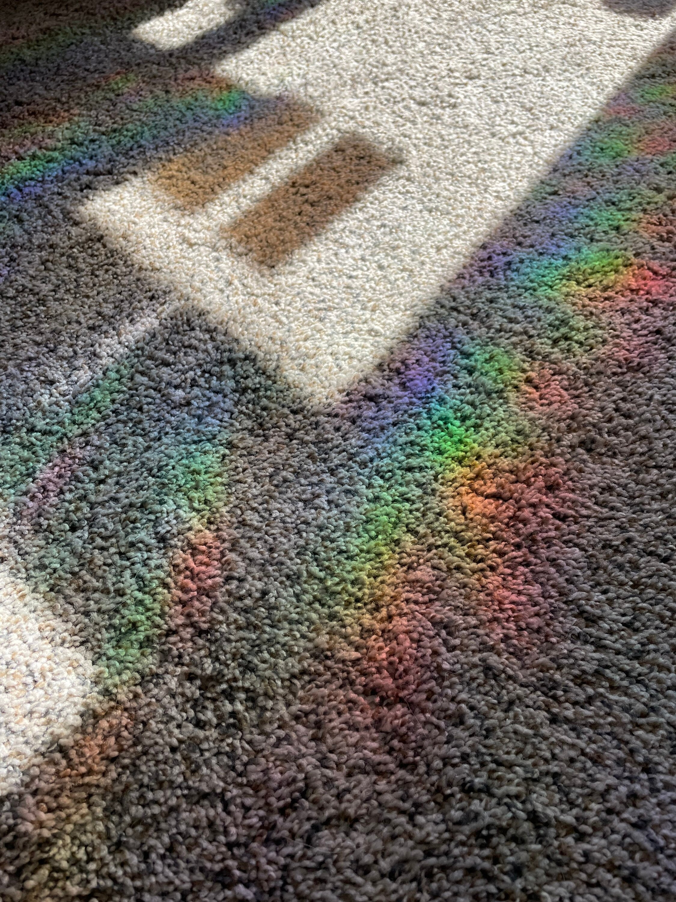 Daisy Window Cling Flower Window Cling Window Cling - Etsy