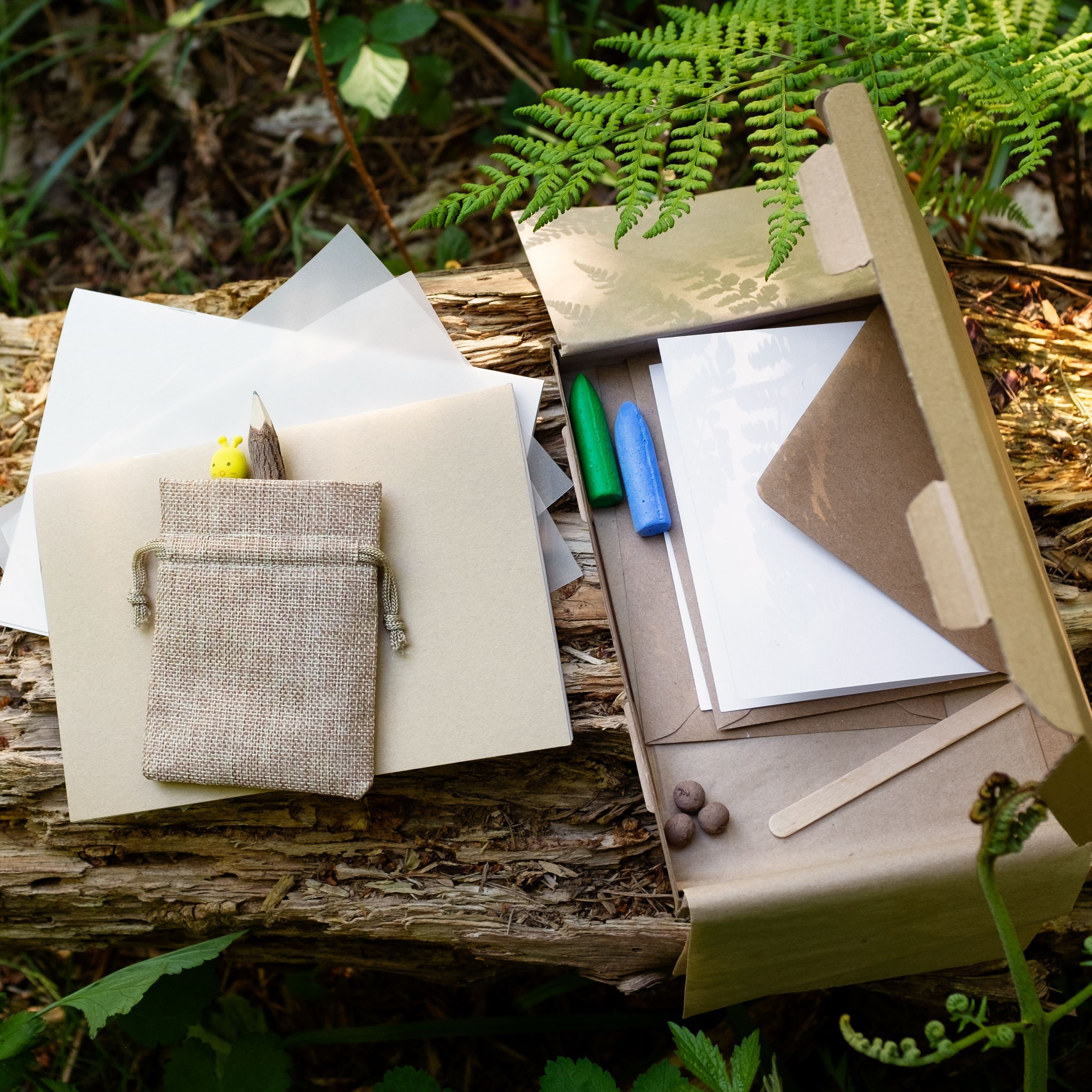 Kids Eco-friendly Nature Activity Pack With Year-round Seed | Etsy