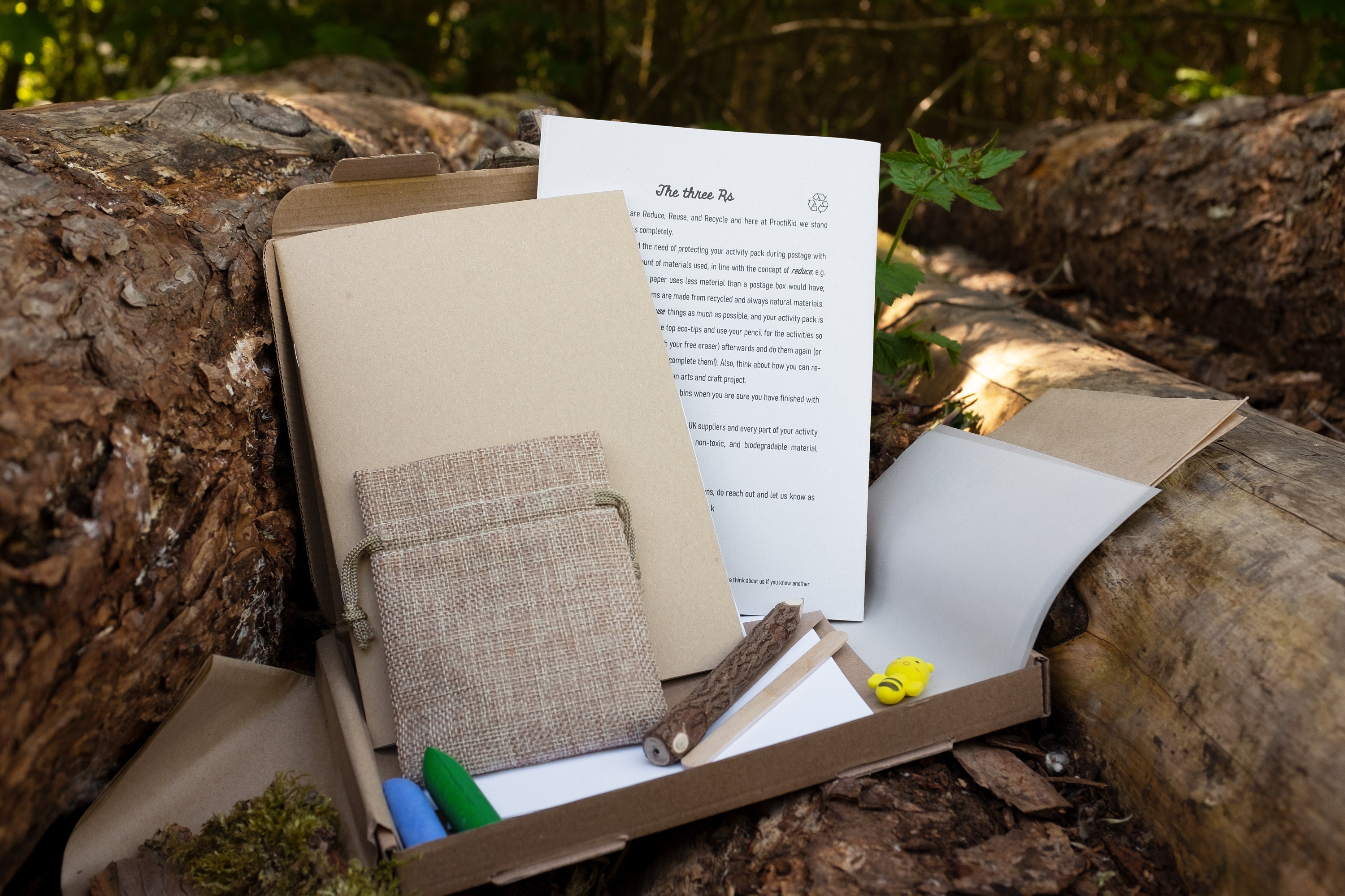 Kids Eco-friendly Nature Activity Pack With Year-round Seed | Etsy