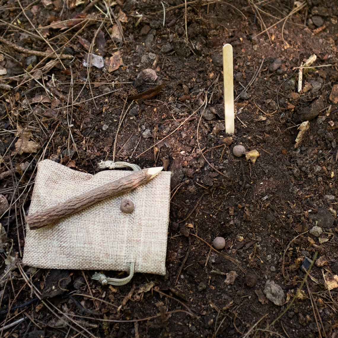 Kids Eco-friendly Nature Activity Pack With Year-round Seed - Etsy