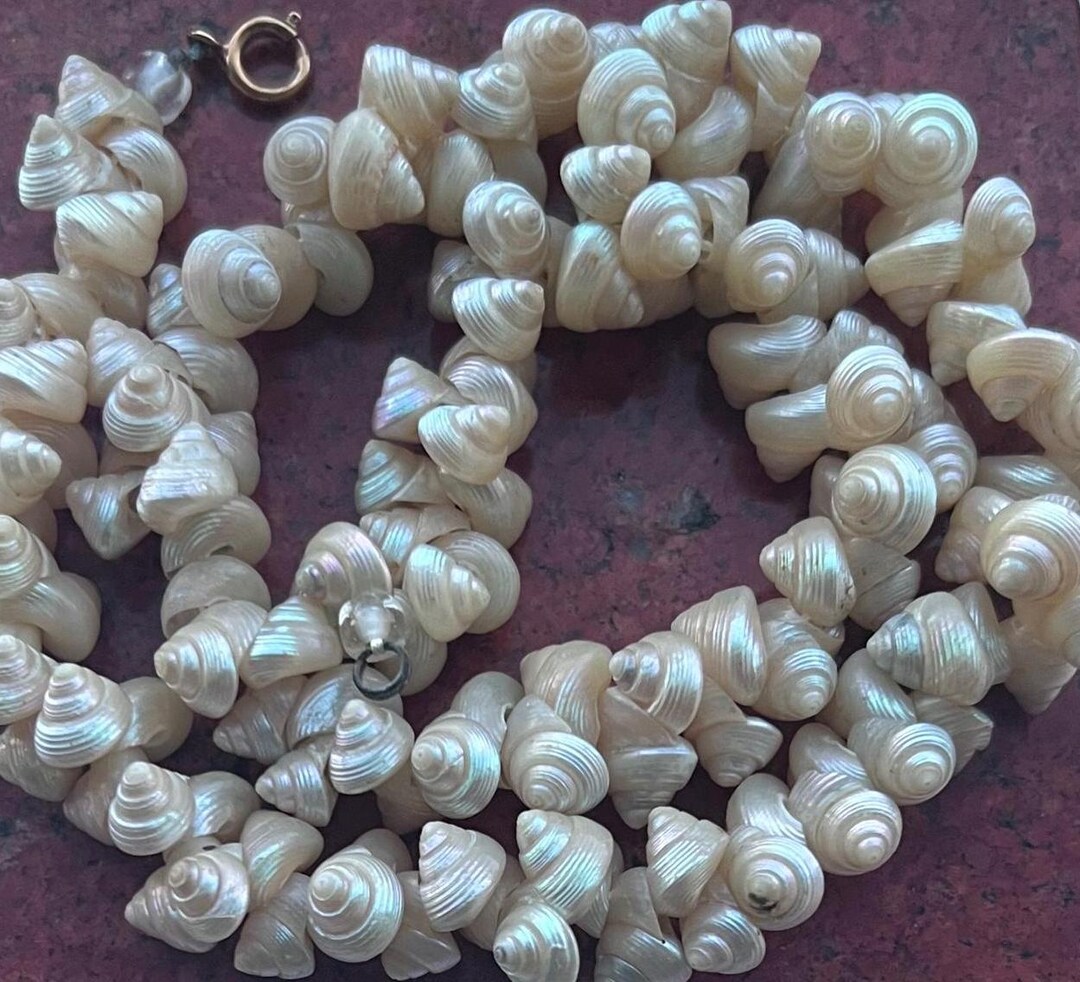 Antique Trochus Shells Necklace 16 Inch Long From Tropical Australia ...