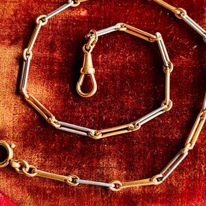 Antique Victorian Rolled Gold Albertina Fetter Link Chain Necklace With ...