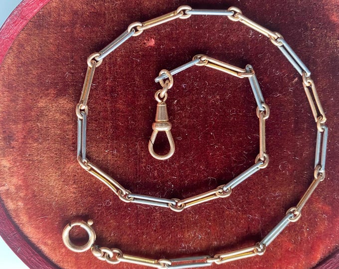 Antique Victorian Rolled Gold Albertina Fetter Link Chain Necklace With ...