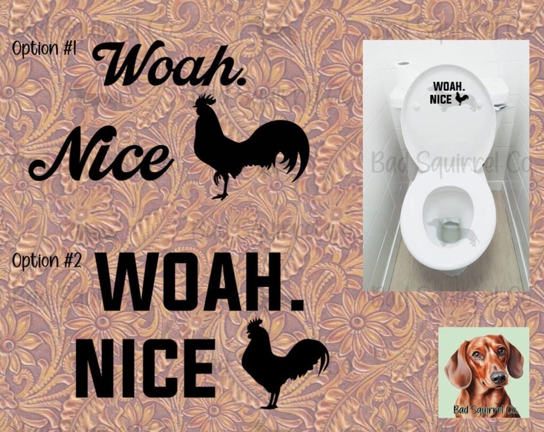 Whoa. Nice **** Decal * Toilet Decal * Toilet Seat Decal * Gag Gift ...