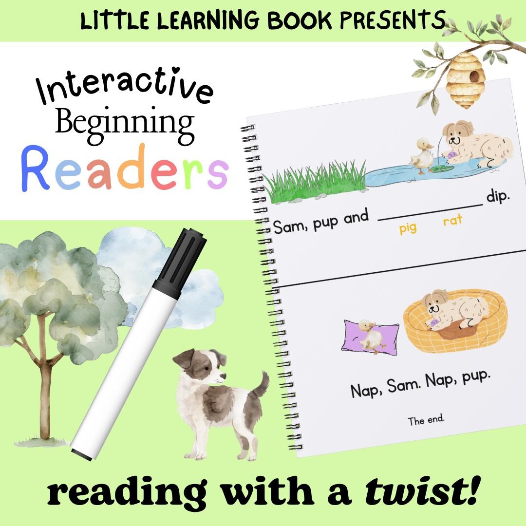 Interactive Beginning Readers Decodable Dry-erase Stories Sight Words ...