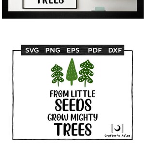 From Little Seeds Grow Mighty Trees, New Mom Svg, Perserverance Shirt ...