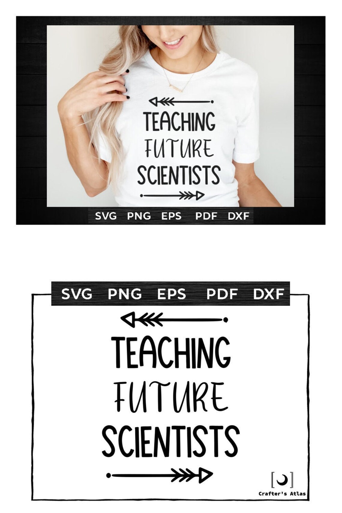 Science Teacher svg Teaching Future Scientists Teacher svg | Etsy