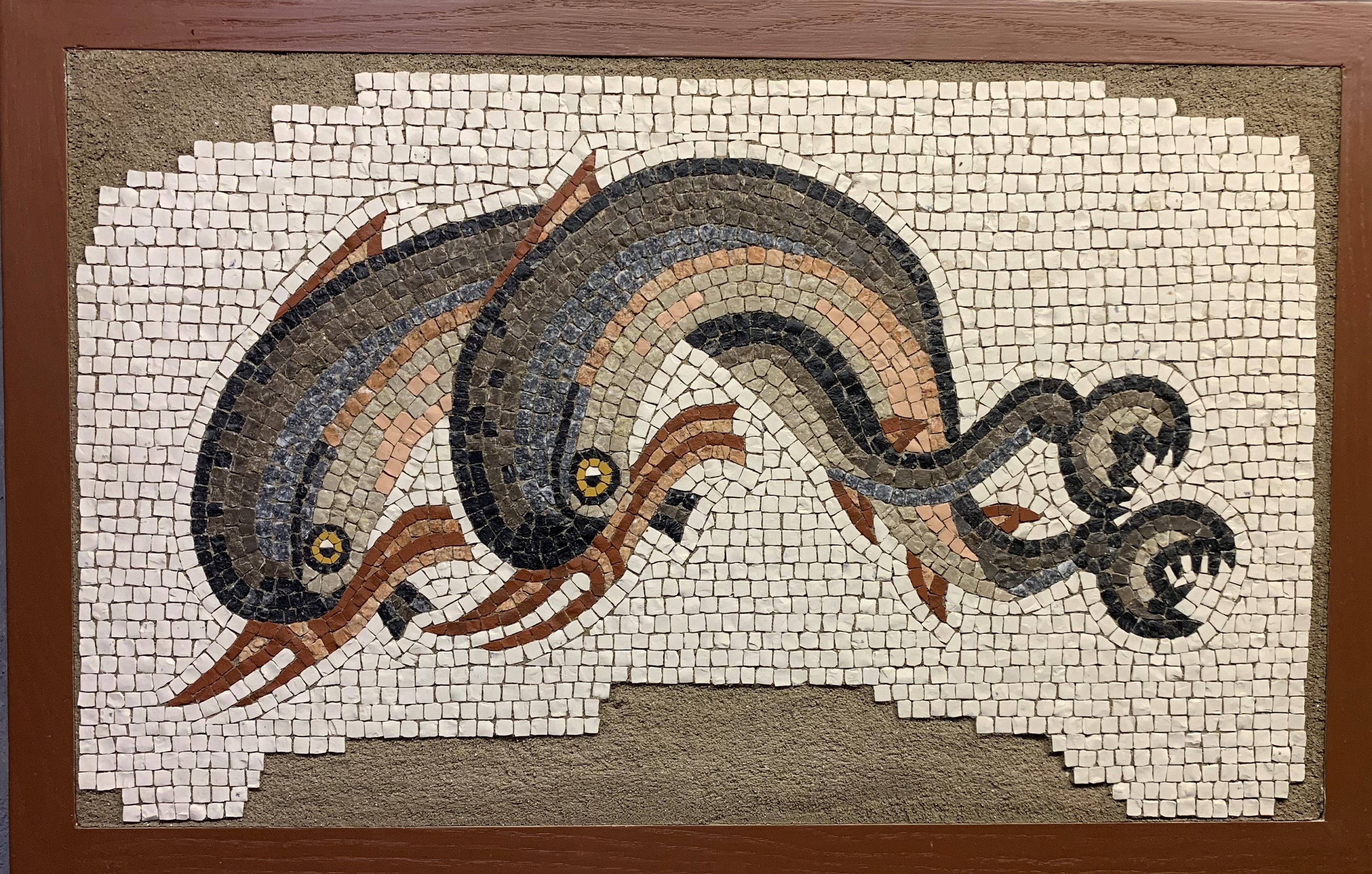 Dolphin Ancient Roman Mosaics Pompeii