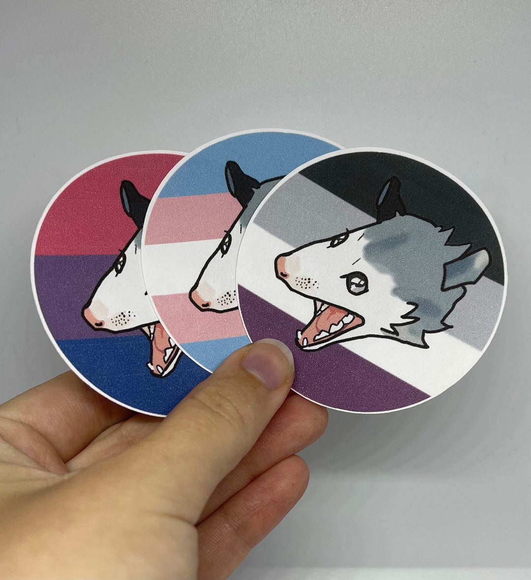 Buy Screaming Pride Possum Sticker - LGBTQIA+ Flags Online in India - Etsy