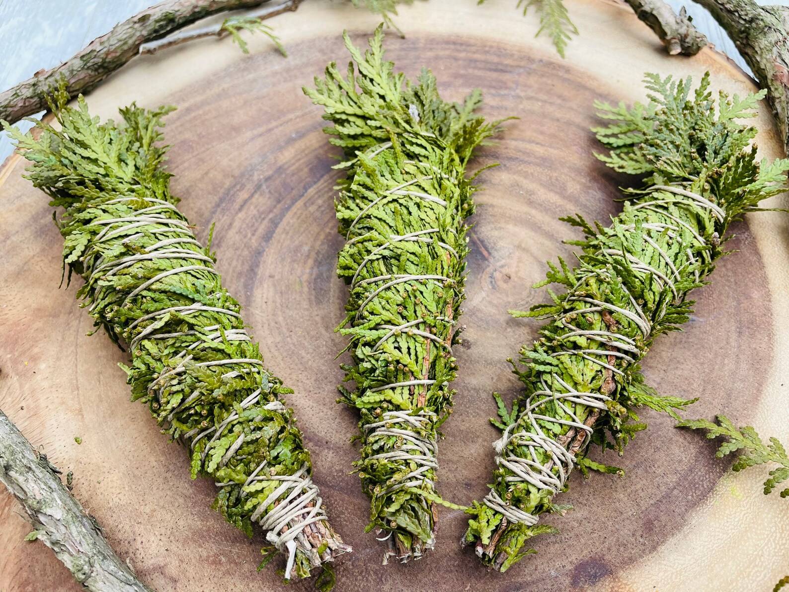 Natural Cedar Incense Bundle, Wild Foraged Northern White Cedar, Smoke ...