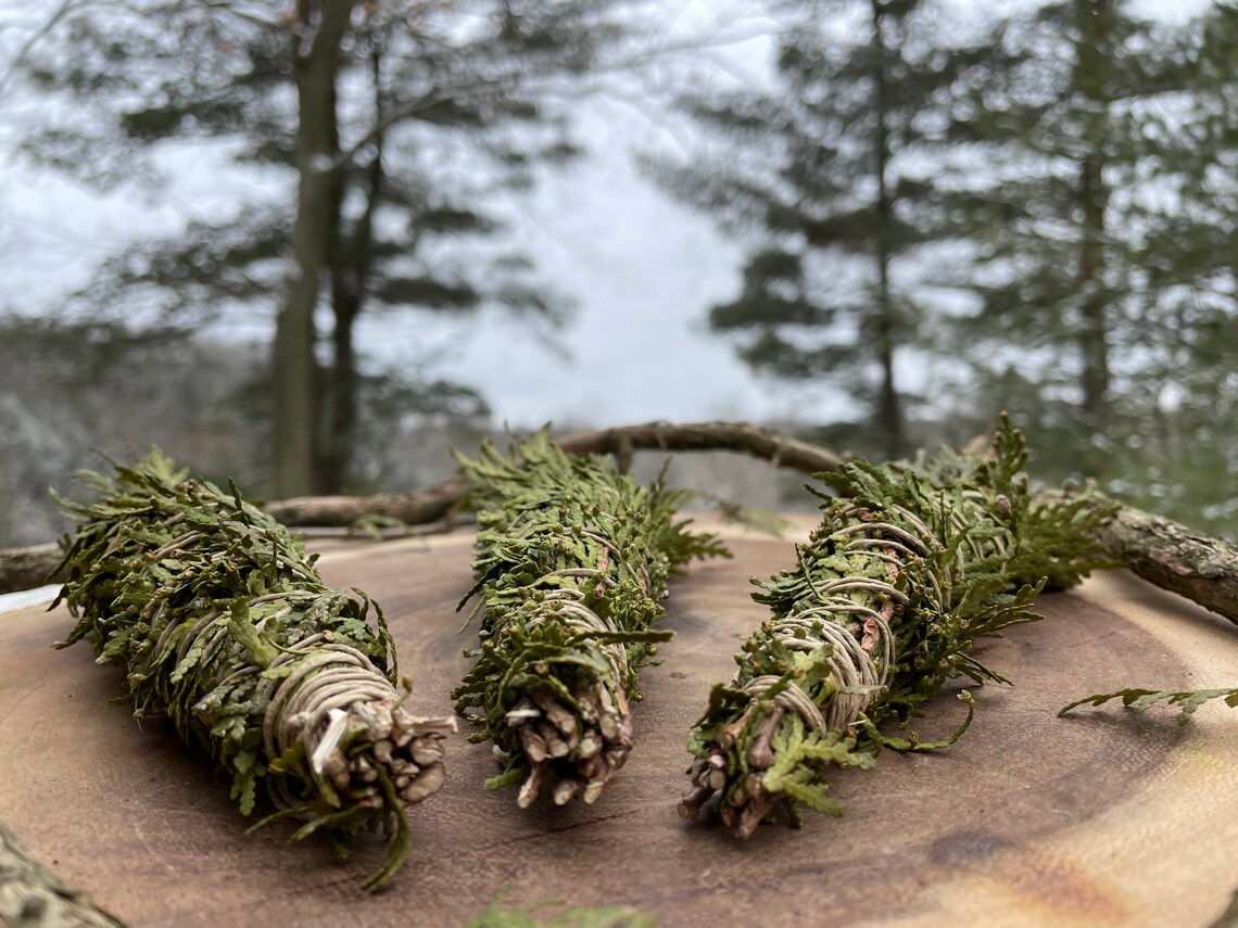Natural Cedar Incense Bundle, Wild Foraged Northern White Cedar, Smoke ...