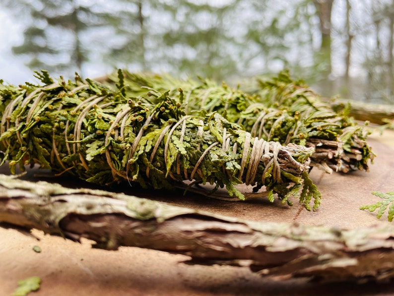 Natural Cedar Incense Bundle, Wild Foraged Northern White Cedar, Smoke ...