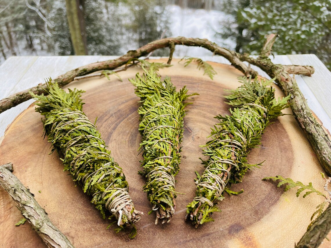 Natural Cedar Incense Bundle, Wild Foraged Northern White Cedar, Smoke ...