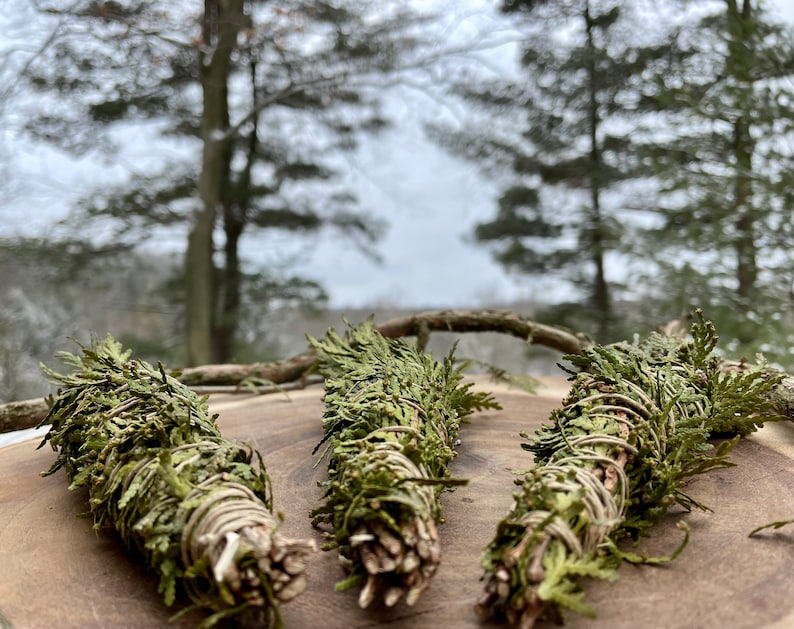 Natural Cedar Incense Bundle, Wild Foraged Northern White Cedar, Smoke ...