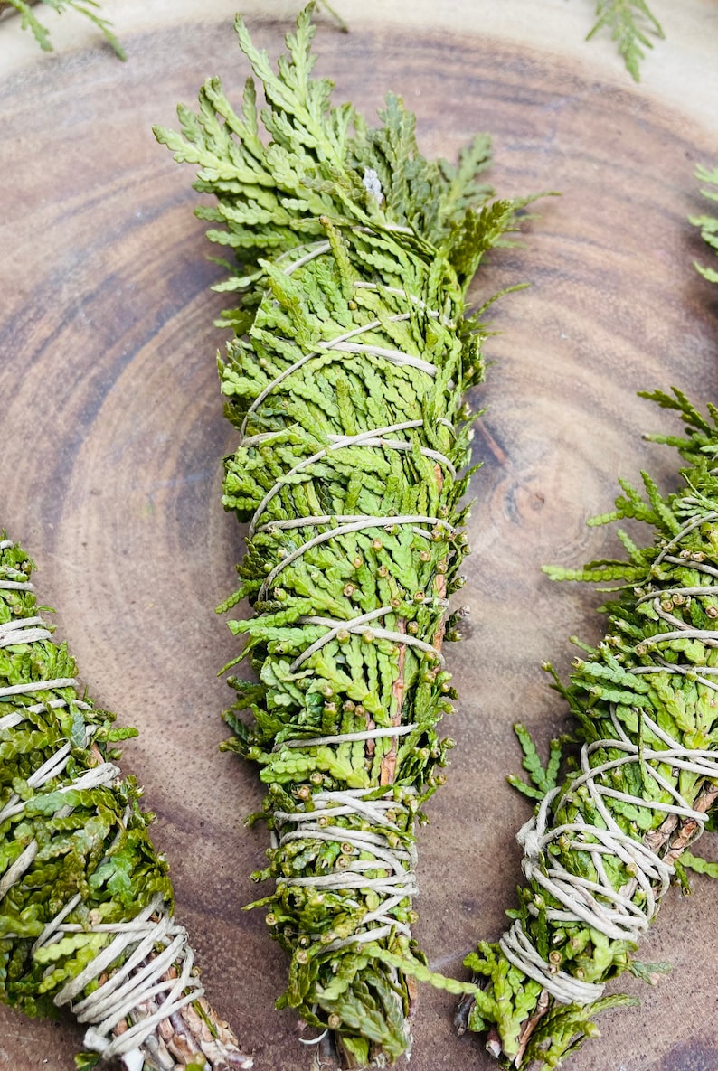 Natural Cedar Incense Bundle, Wild Foraged Northern White Cedar, Smoke ...