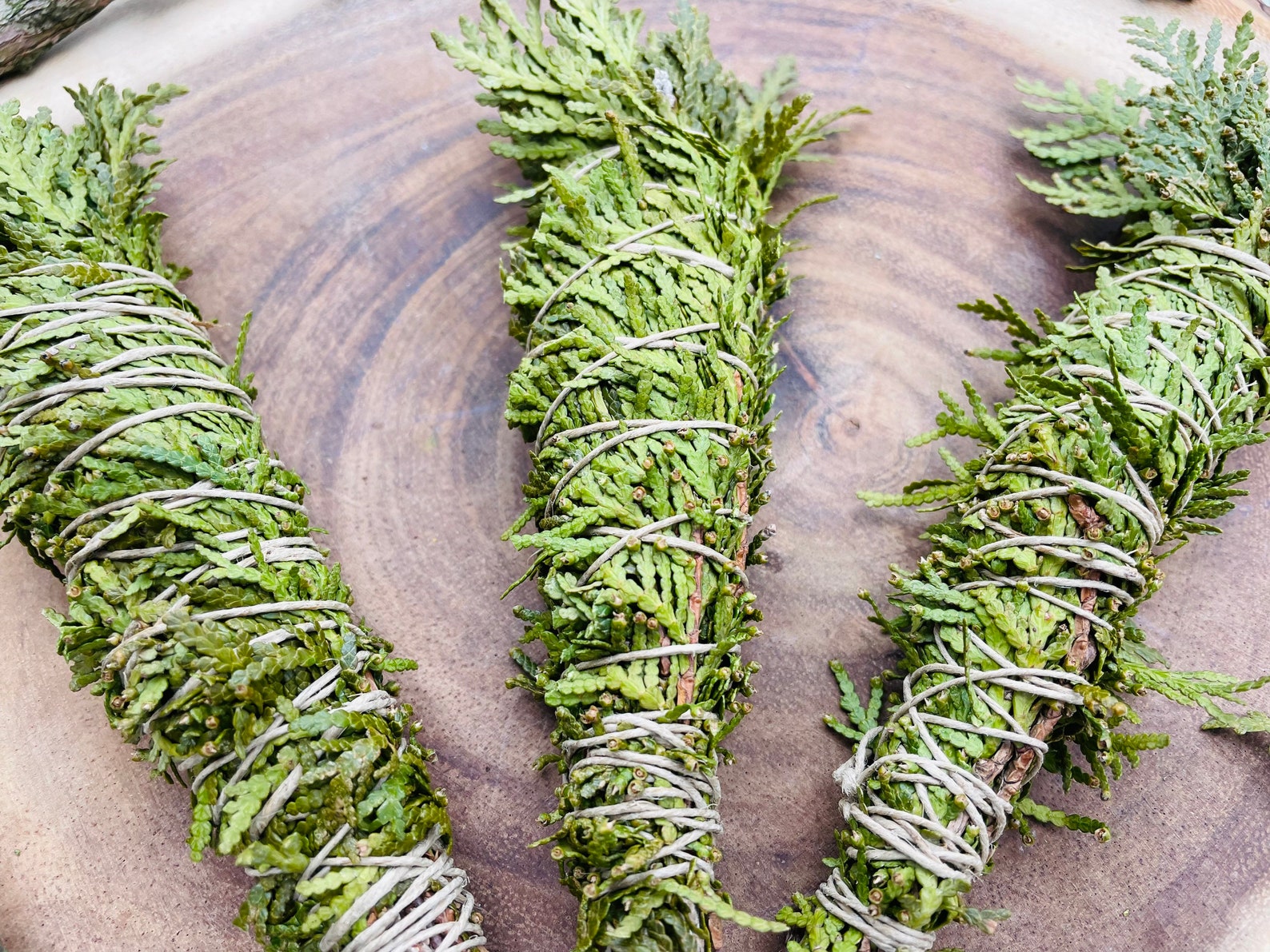 Natural Cedar Incense Bundle, Wild Foraged Northern White Cedar, Smoke ...