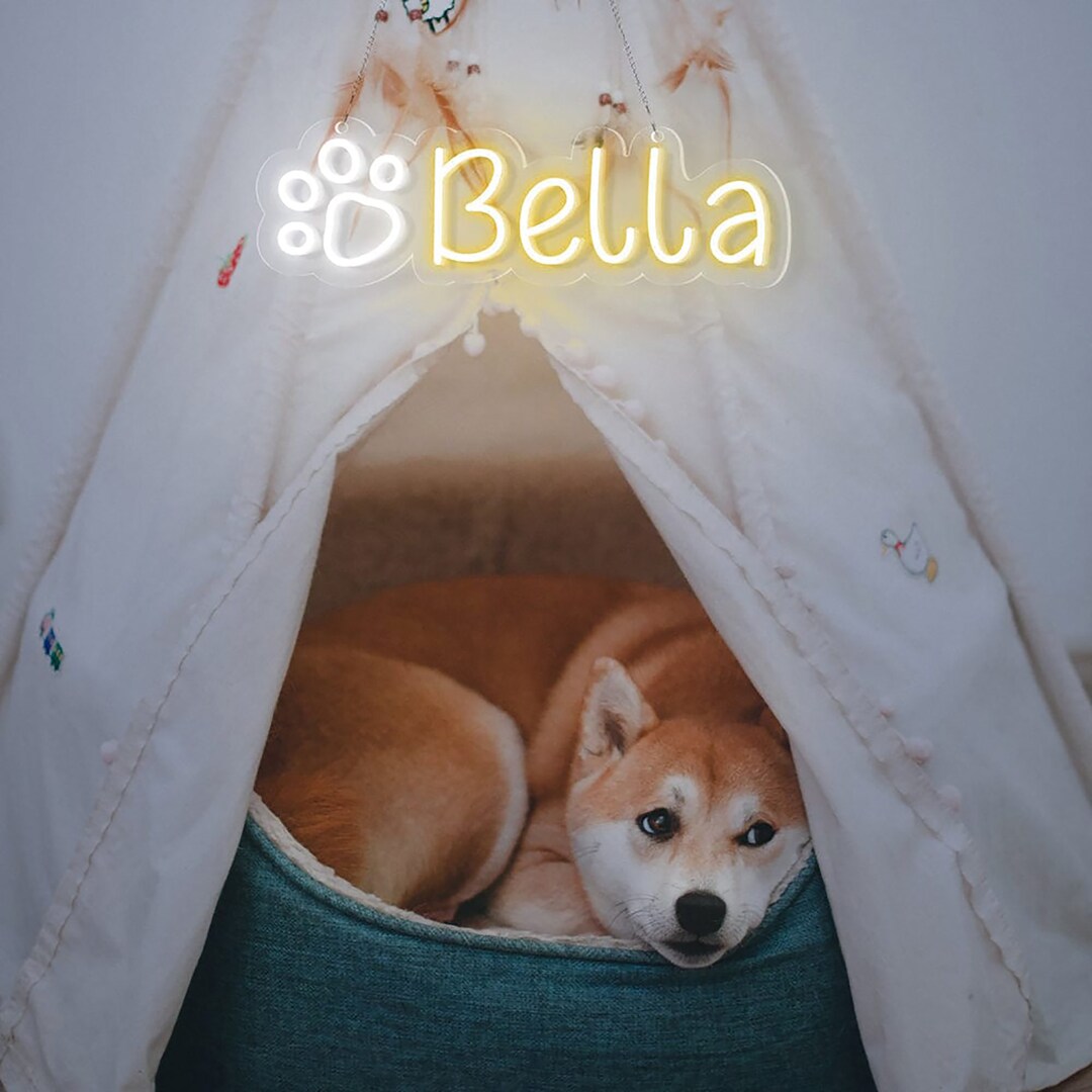 Custom Neon Sign Neon Sign Neon Light Pet Neon Sign - Etsy