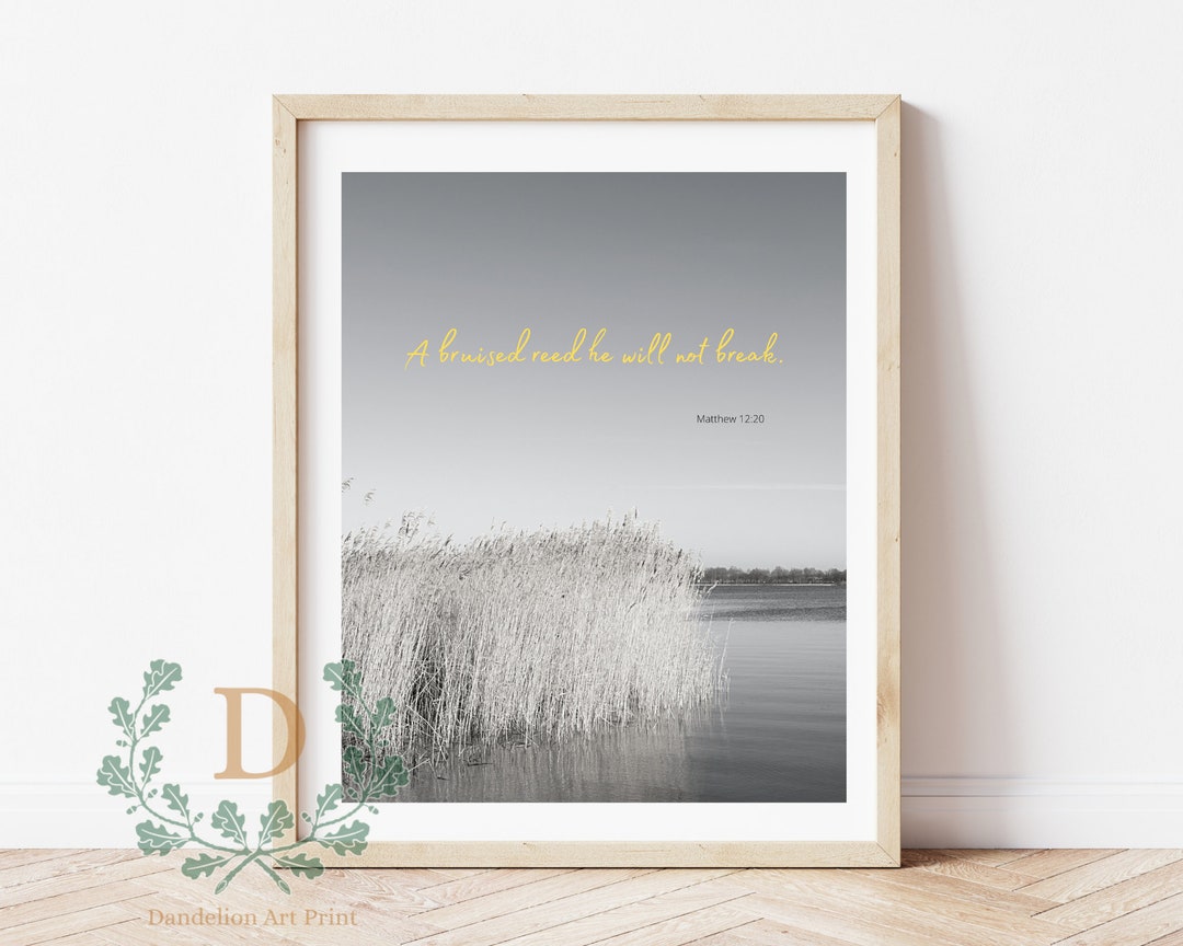 A Bruised Reed He Will Not Break (matthew 12:20), Bible Verse Digital ...