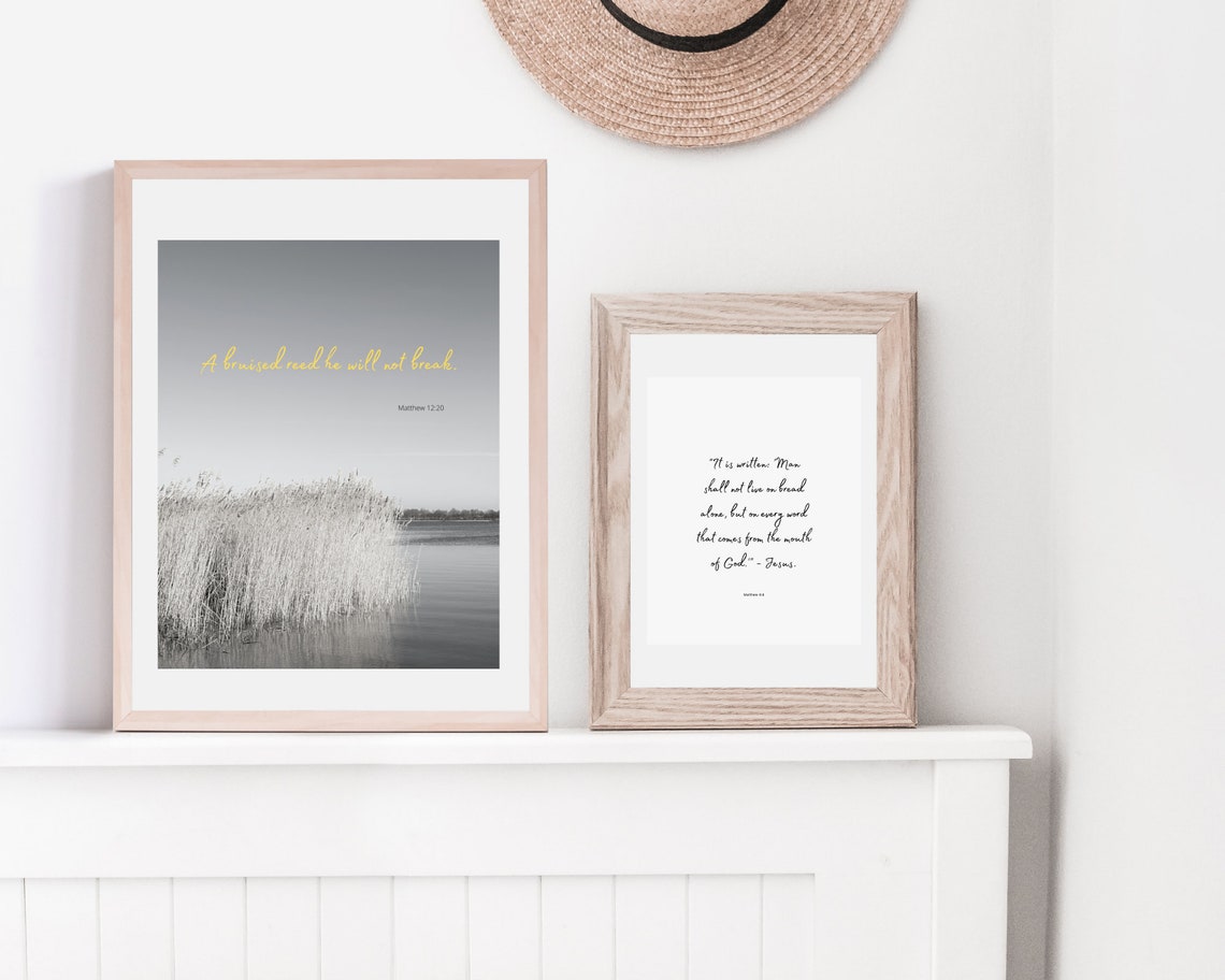 A Bruised Reed He Will Not Break matthew 12:20 Bible Verse - Etsy