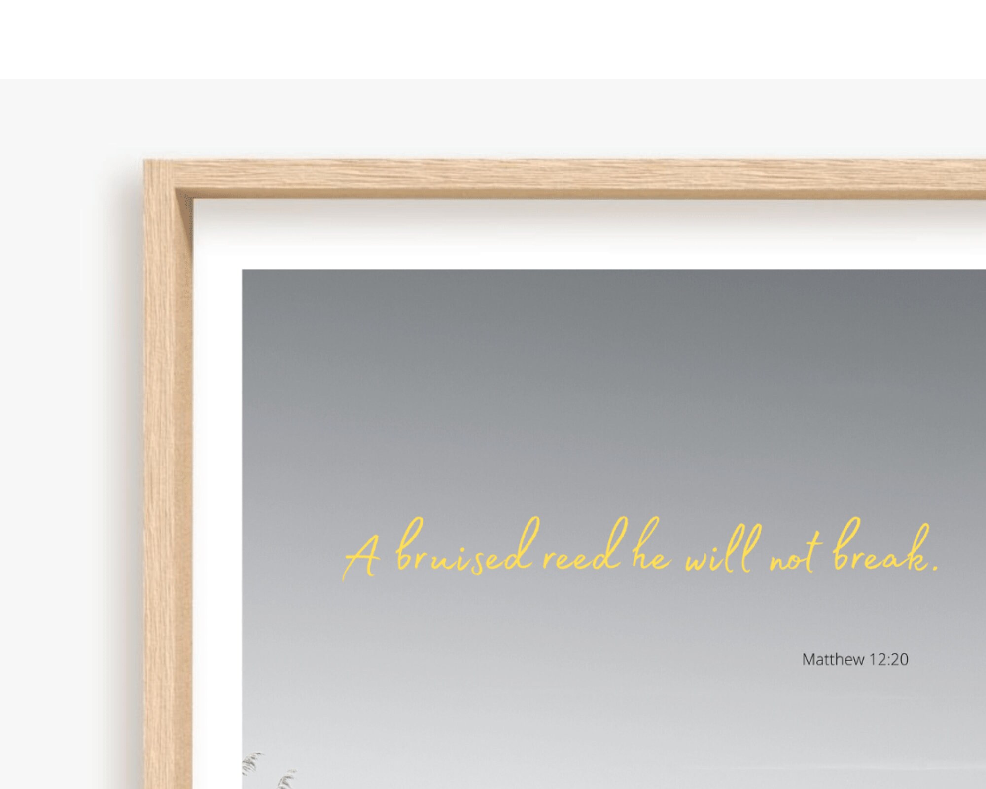 A Bruised Reed He Will Not Break matthew 12:20 Bible Verse - Etsy