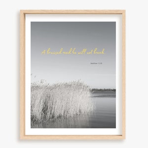 A bruised reed he will not break Matthew 12:20 Bible Verse | Etsy