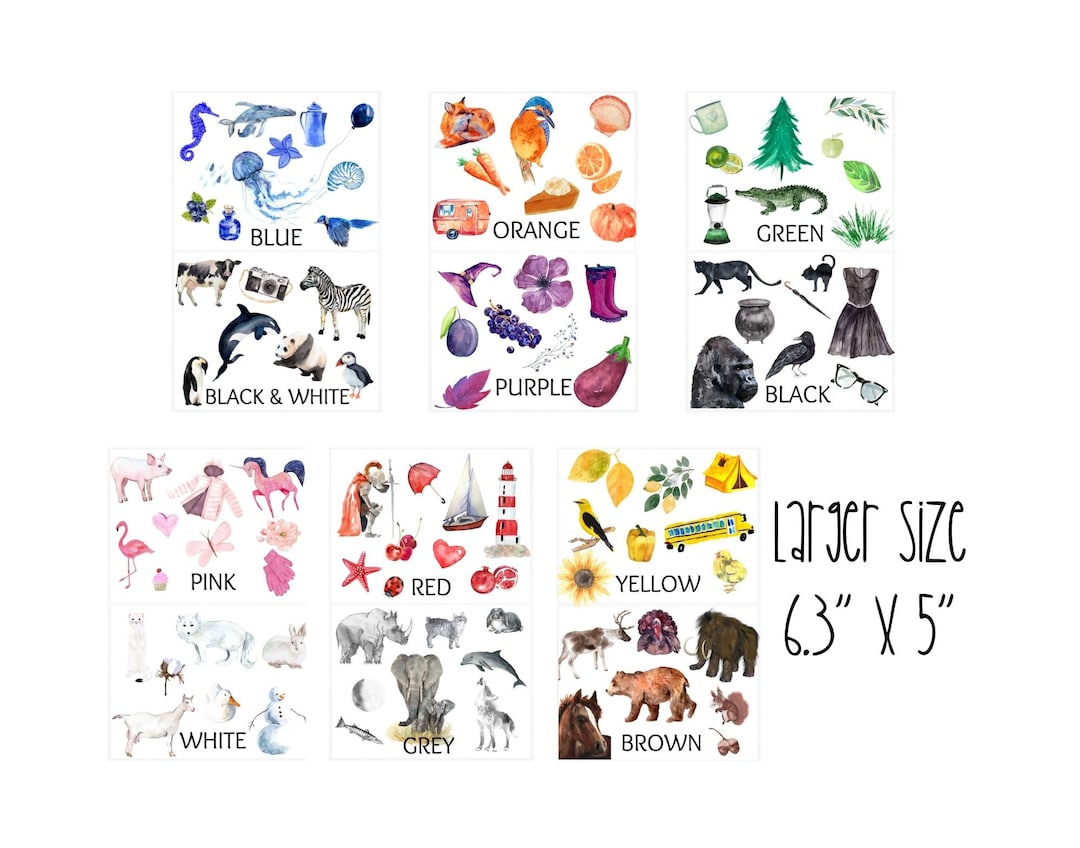 Color Cards | Color Flash Cards | Color of the Day - Etsy
