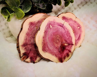 1” Thick Wood Slices - Etsy