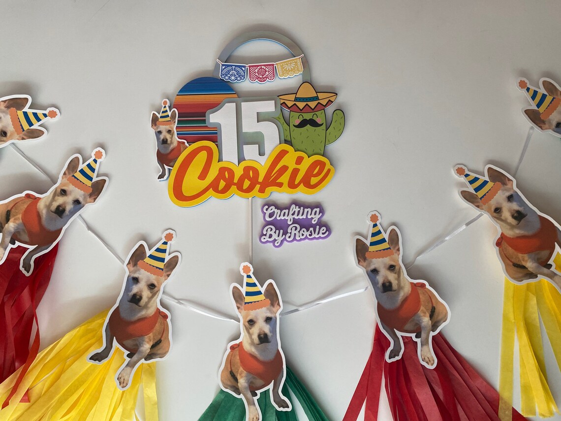 Dog Fiesta Party Decor Pet Birthday Party Fiesta Dog - Etsy