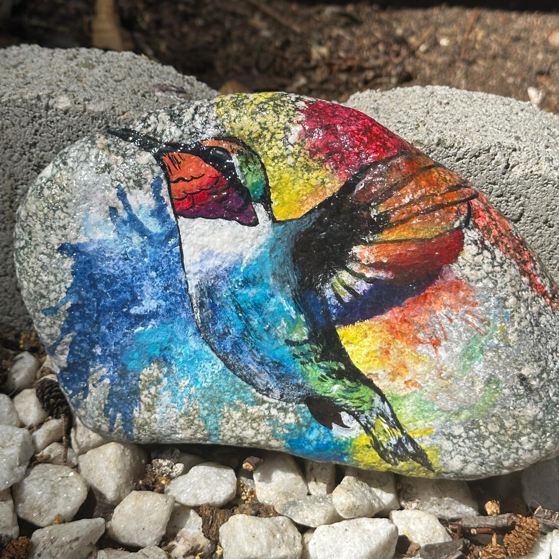 Hummingbird Rock, Hummingbird Decor, Rainbow Watercolor Decor ...